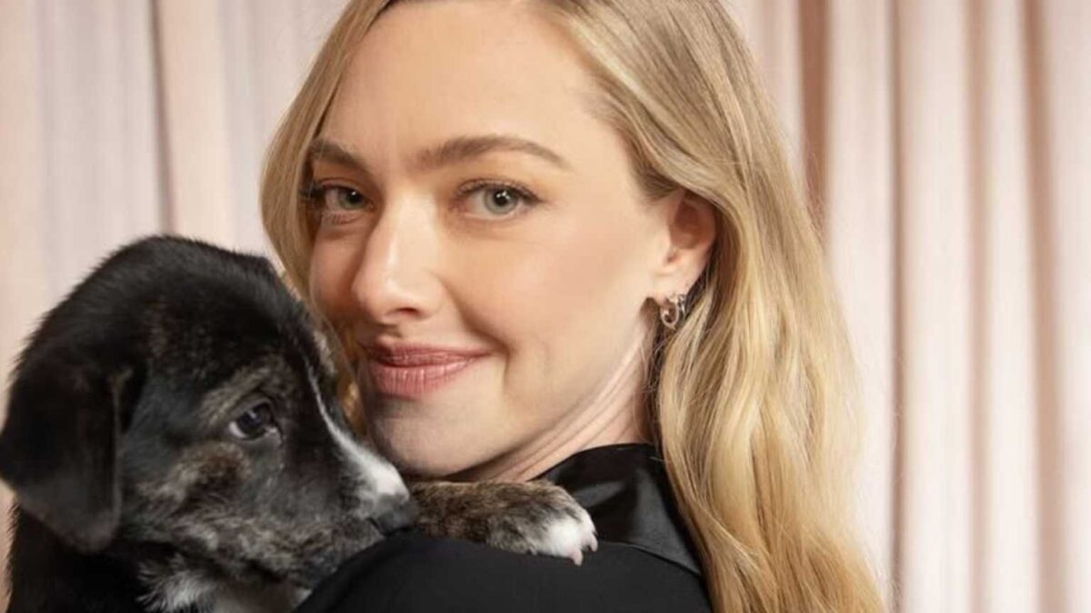 Amanda Seyfried conta que precisou contratar guarda-costas após ...